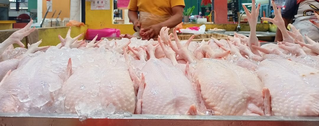 JAIPk sahkan ayam di pasar raya Kuala Kangsar disembelih ikut syariat ...